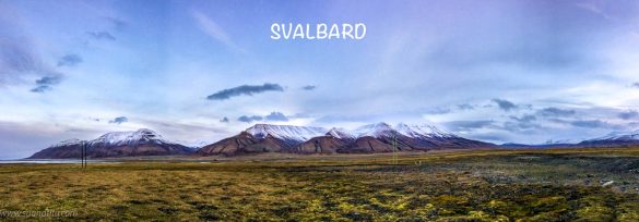 Complete Guide to Svalbard: Everything you need to know - fernwehstories